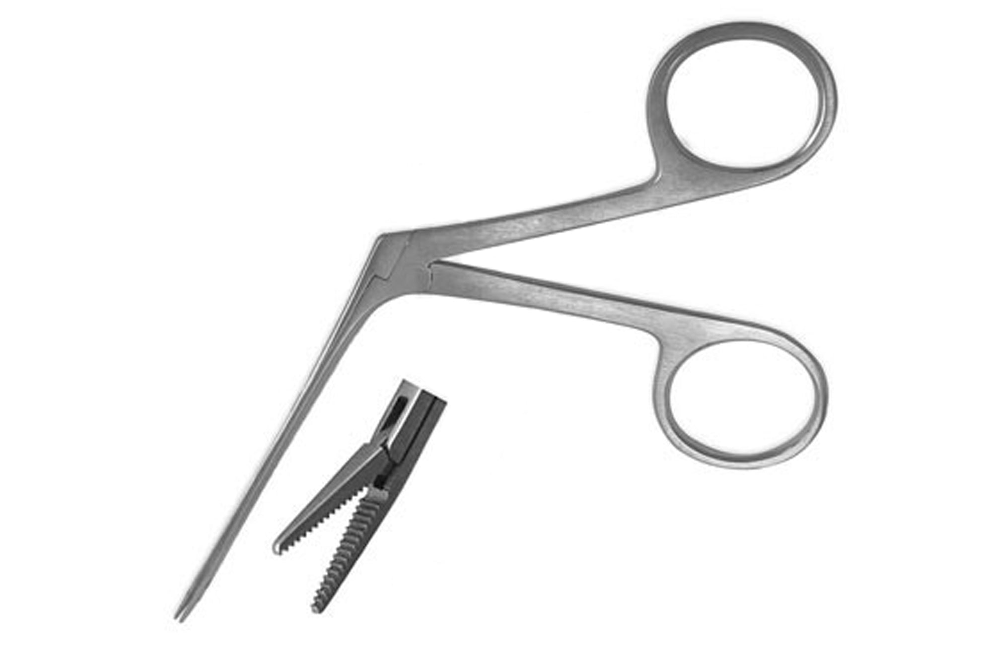 Alligator Ear Forcep - Ameri Surgical Instruments Inc.