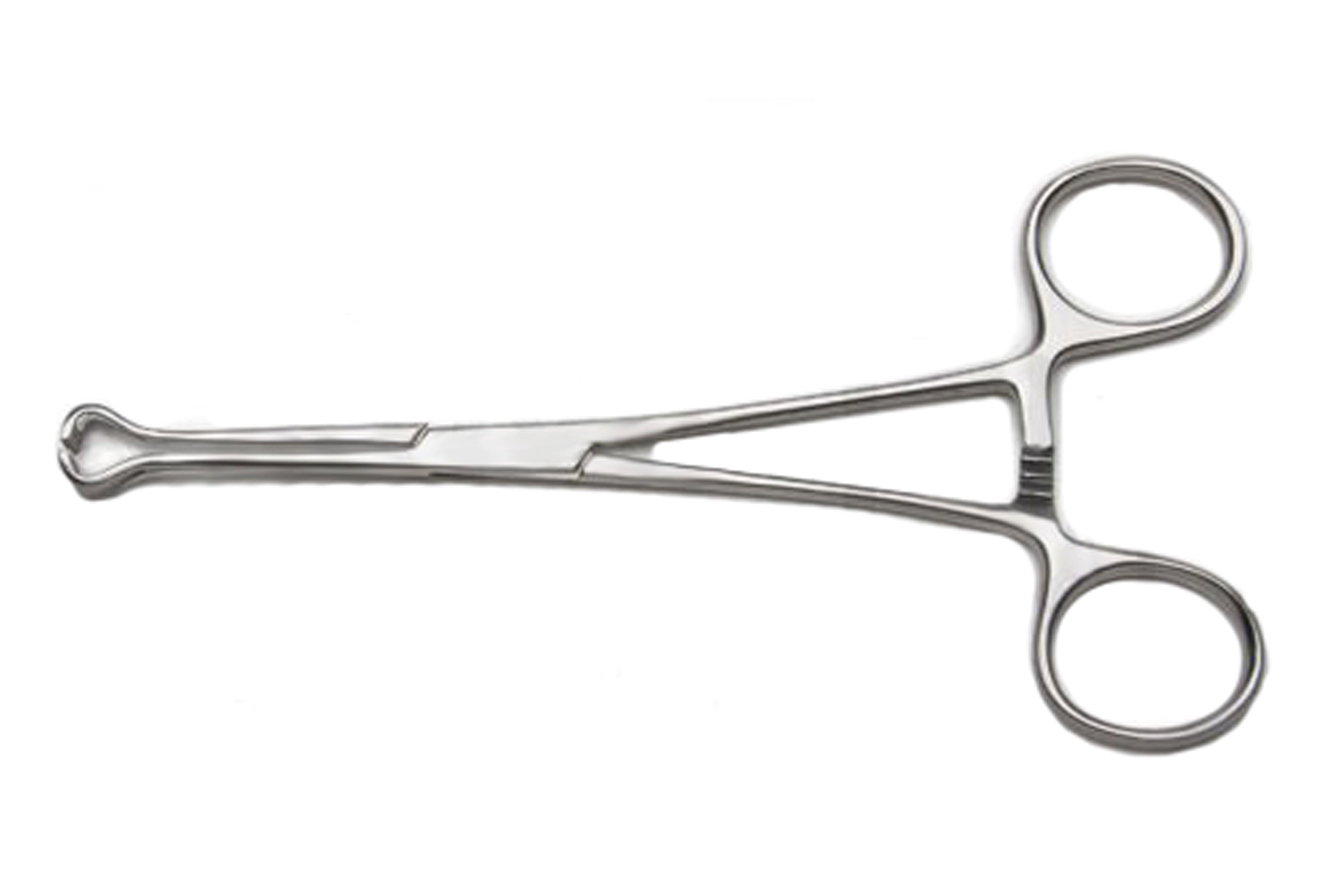 Babcock Forceps - Ameri Surgical Instruments Inc.