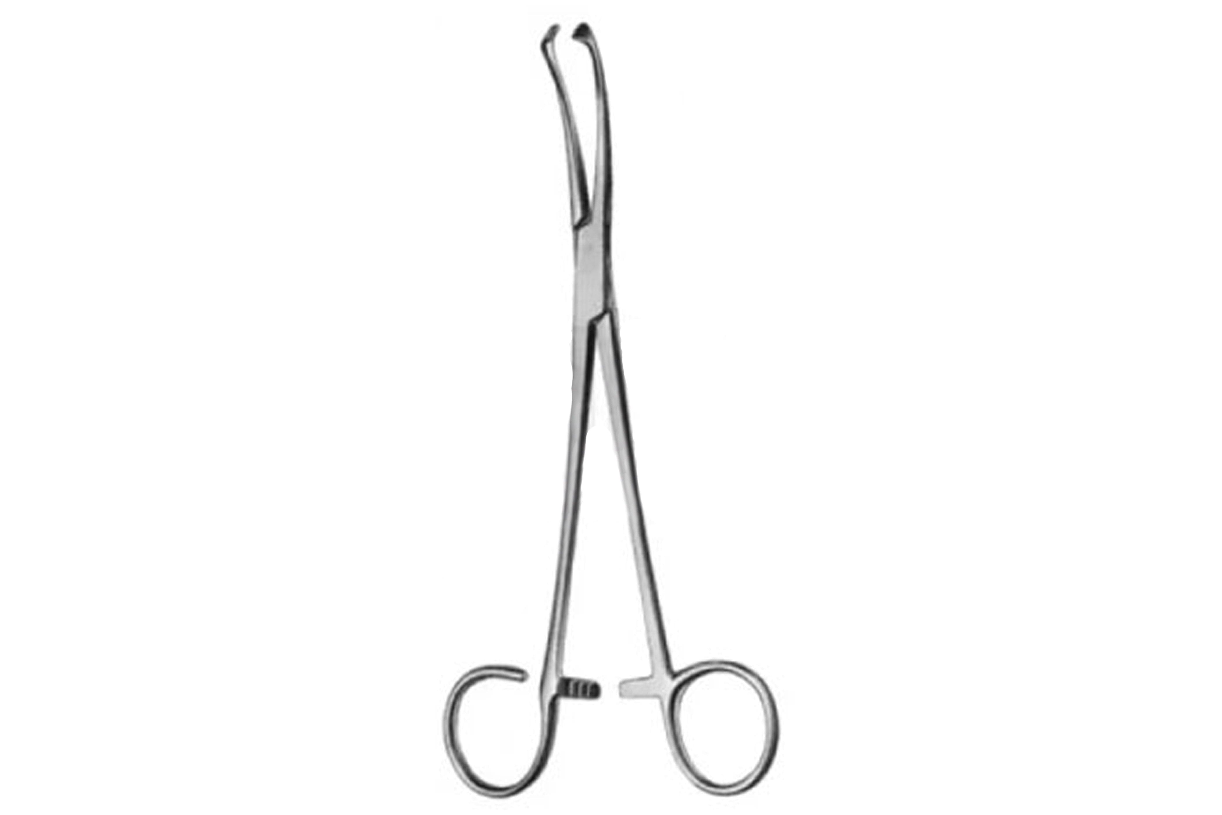 White Tonsil Forceps - Ameri Surgical Instruments Inc.